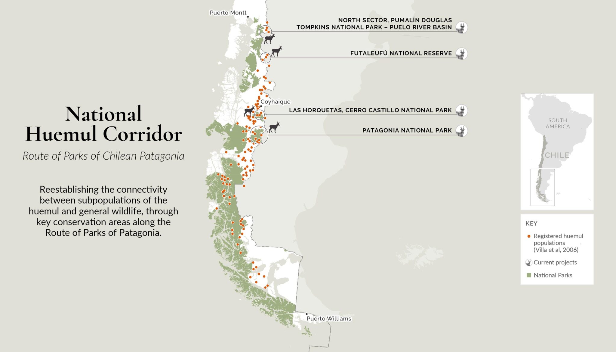 Huemul National Corridor - Fundación Rewilding Chile