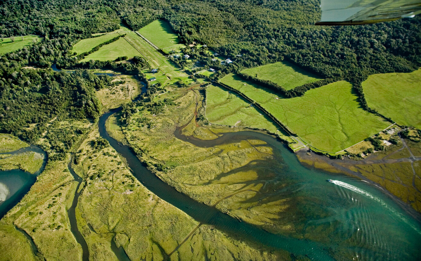 Parque Nacional Pumalín Douglas Tompkins - Fundación Rewilding Chile