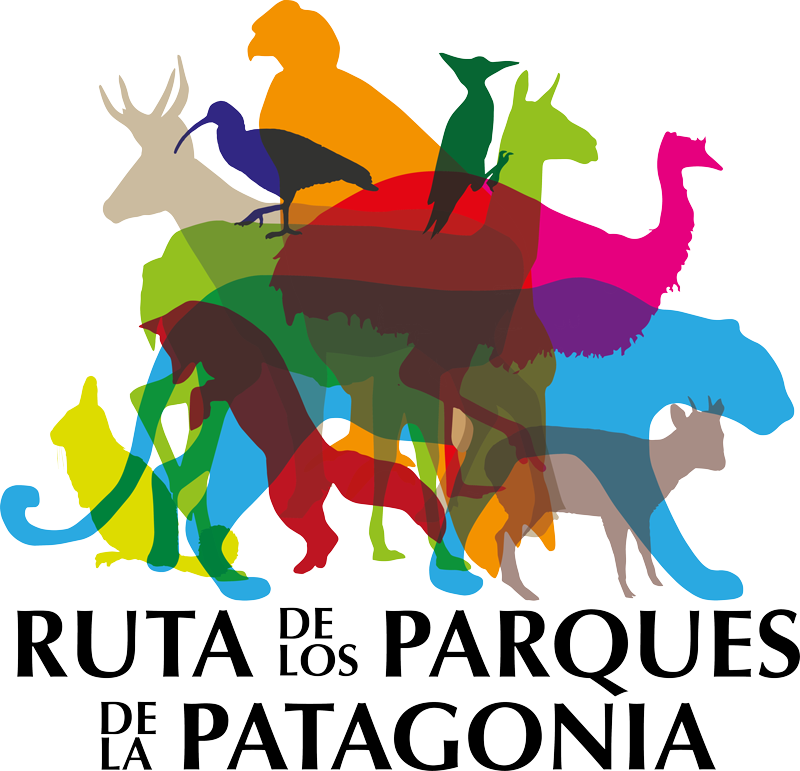 Huemul National Corridor - Fundación Rewilding Chile
