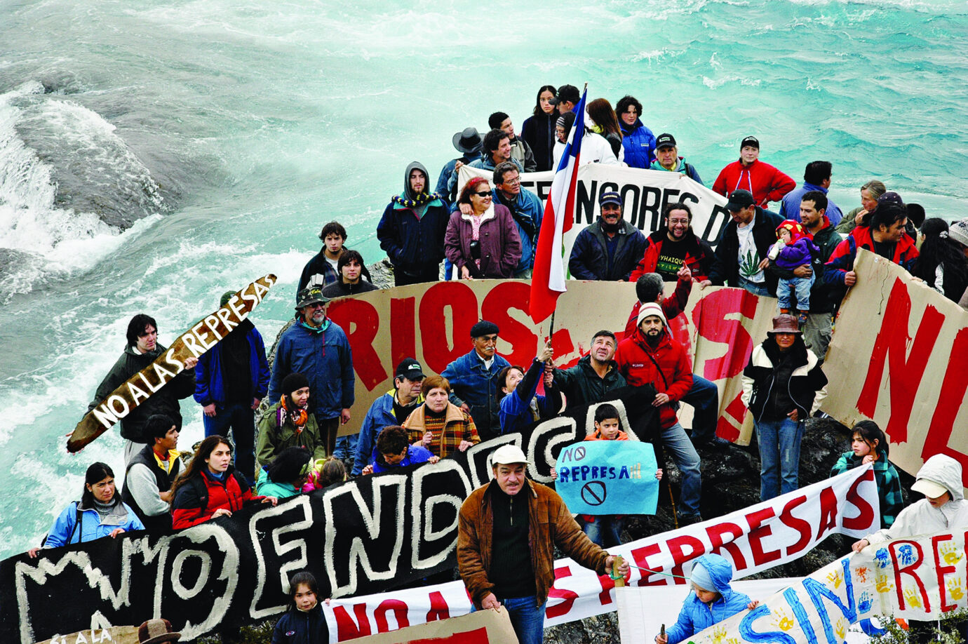 Activismo - Fundación Rewilding Chile