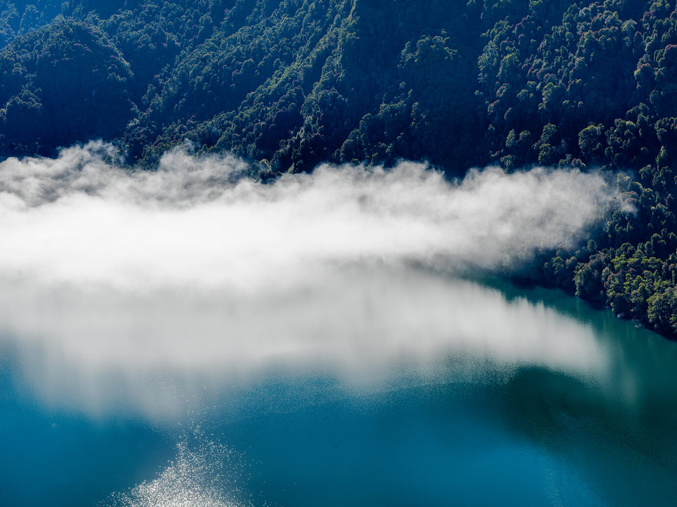 Parque Nacional Pumalín Douglas Tompkins - Fundación Rewilding Chile