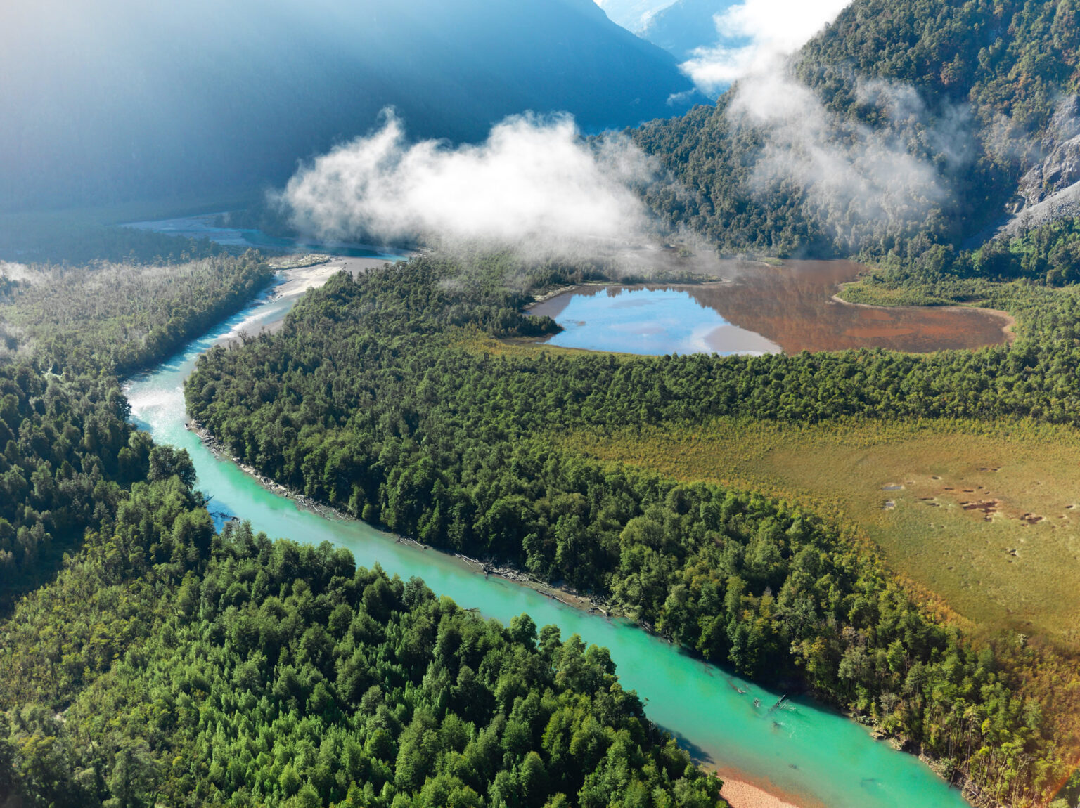 Parque Nacional Pumalín Douglas Tompkins - Fundación Rewilding Chile