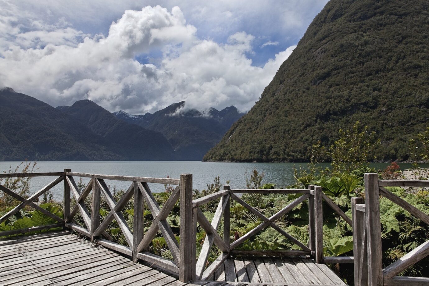 Parque Nacional Pumalín Douglas Tompkins - Fundación Rewilding Chile