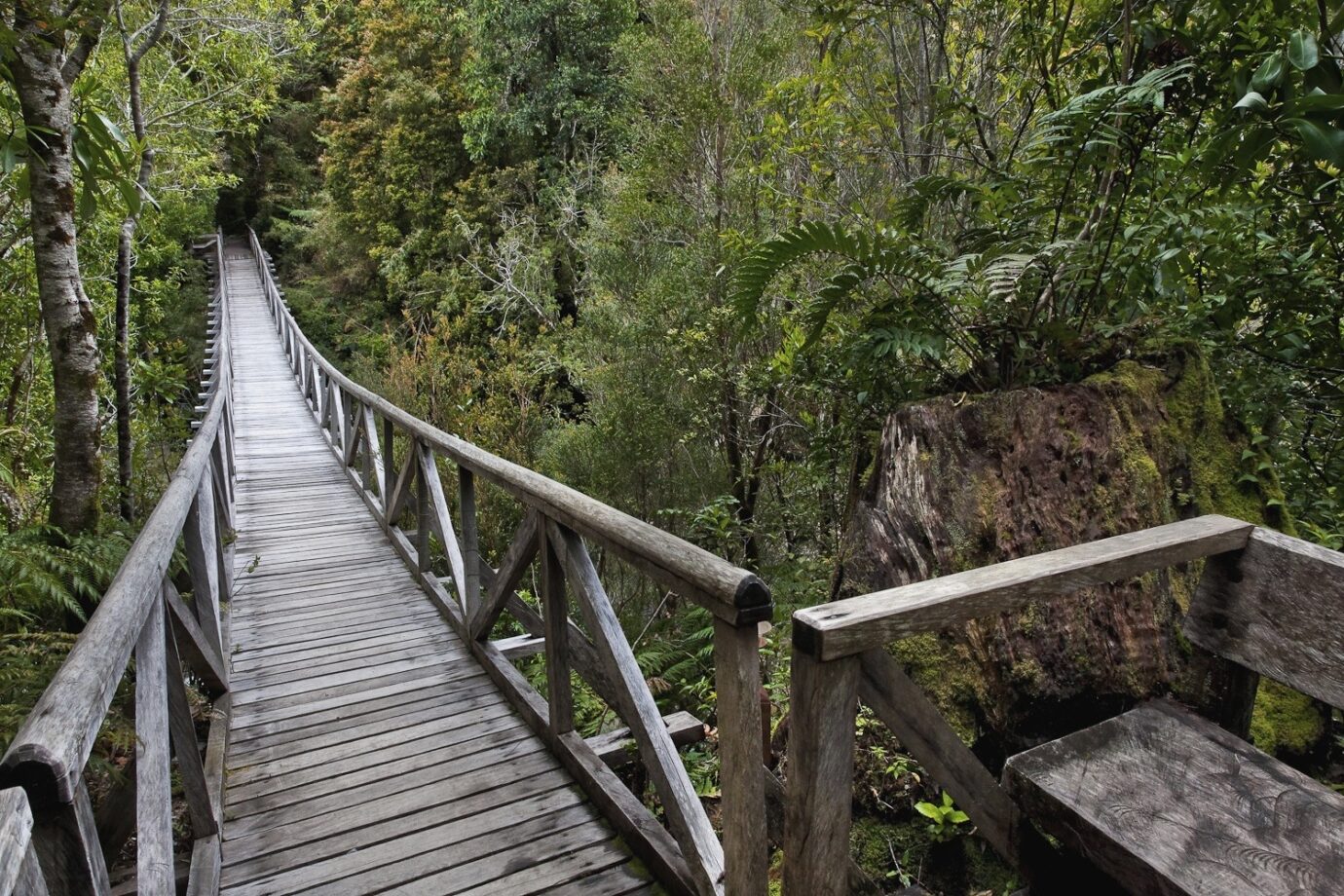 Parque Nacional Pumalín Douglas Tompkins - Fundación Rewilding Chile