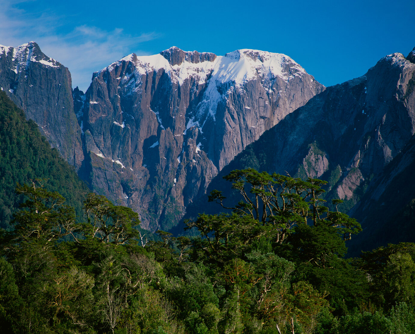 Corcovado National Park - Fundación Rewilding Chile