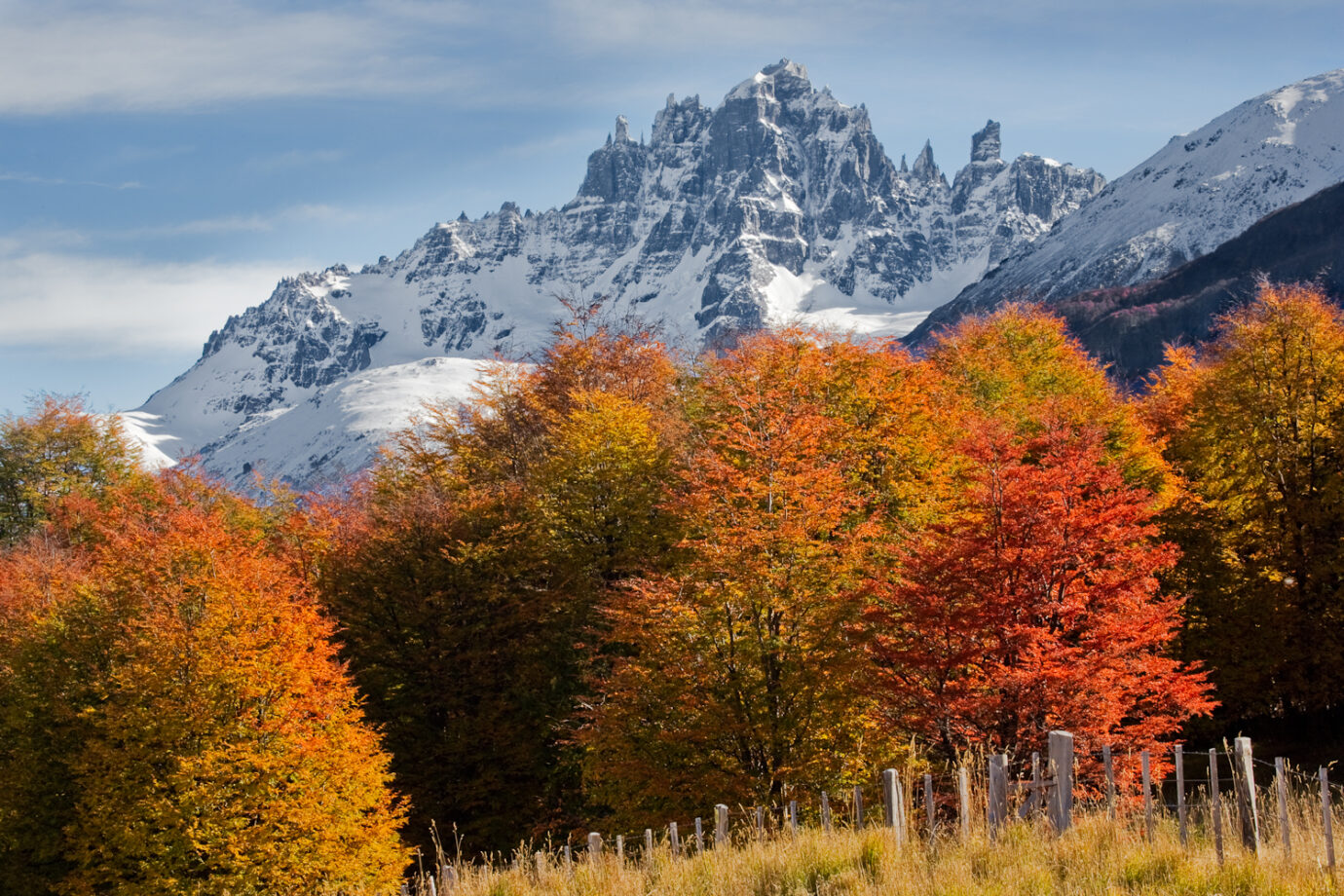 Cerro Castillo National Park - Fundación Rewilding Chile