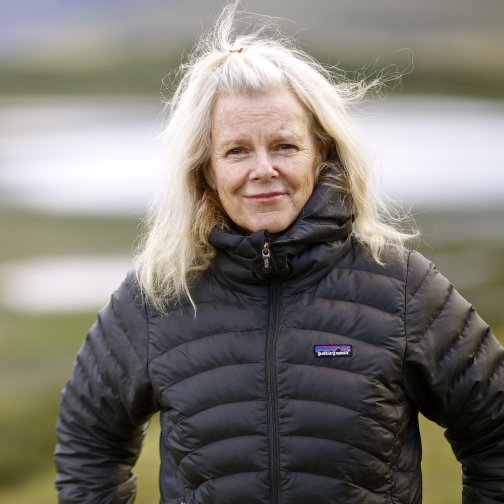 ¿Por qué Rewilding? - Fundación Rewilding Chile