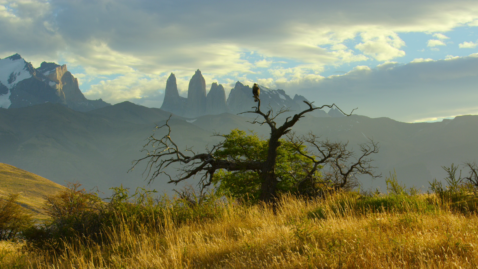 Chilean national parks featured in Netflix documentary series narrated ...
