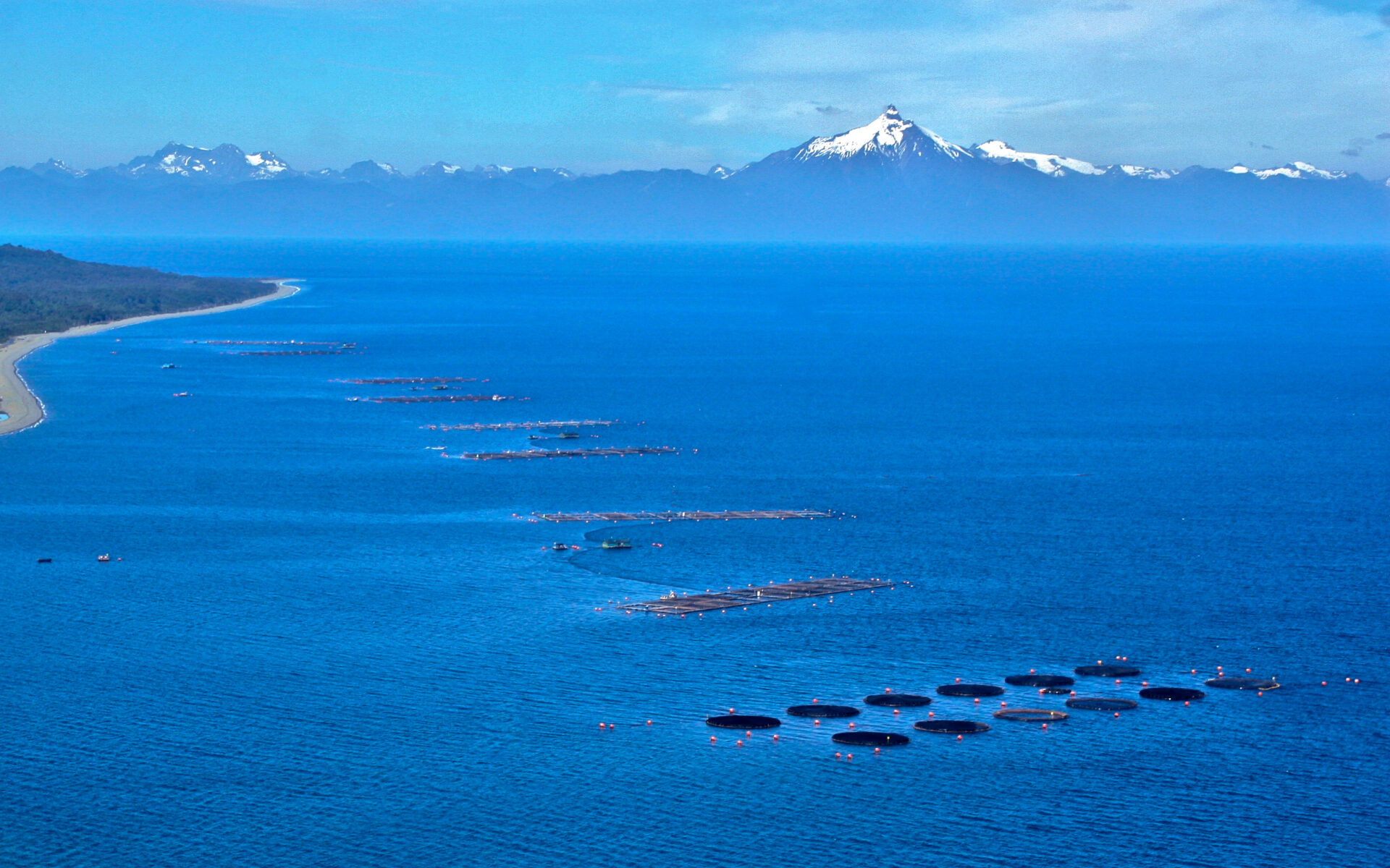 El mar de la Patagonia y las áreas protegidas - Fundación Rewilding Chile