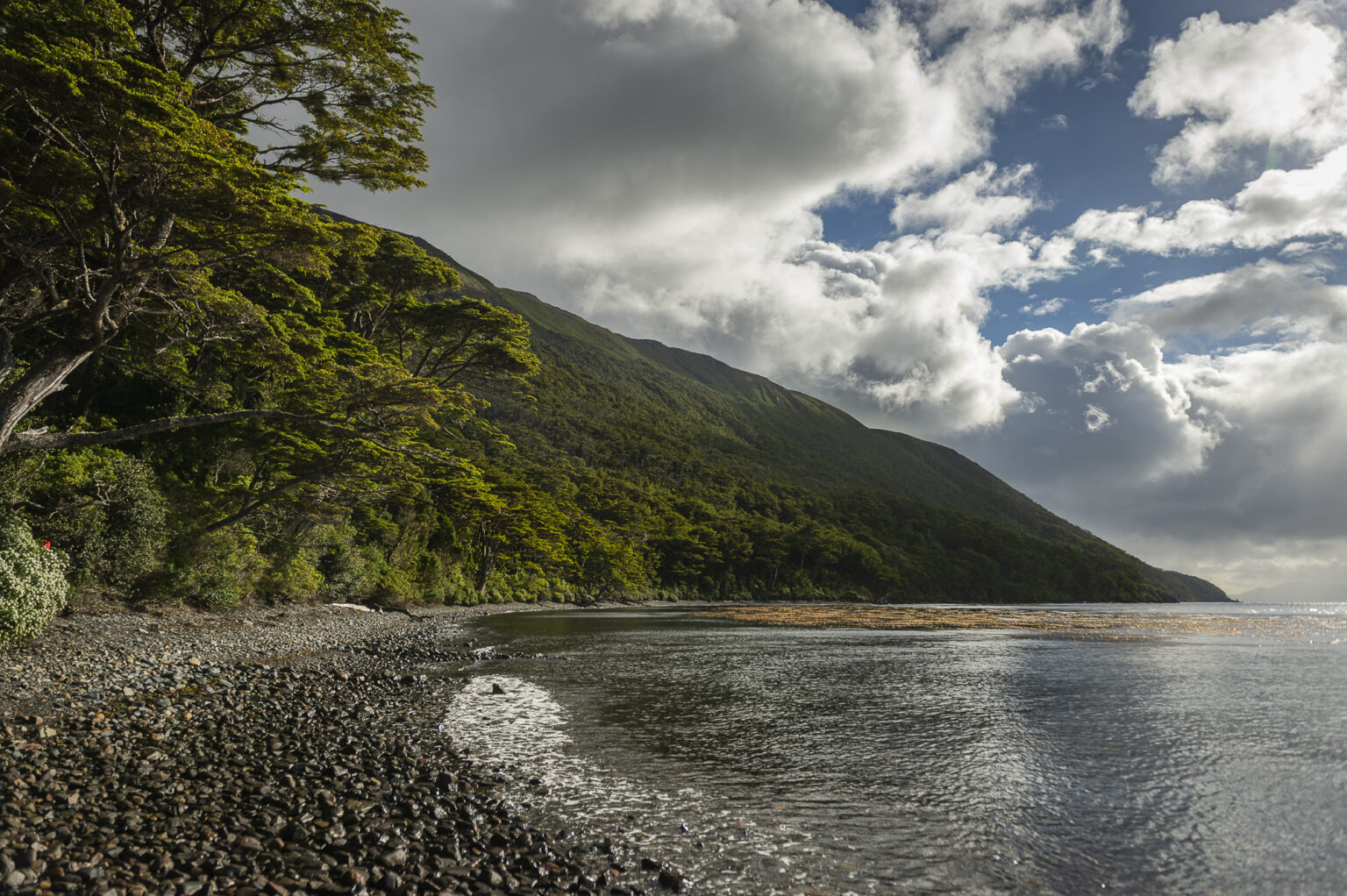 Cape Froward National Park Project - Fundación Rewilding Chile