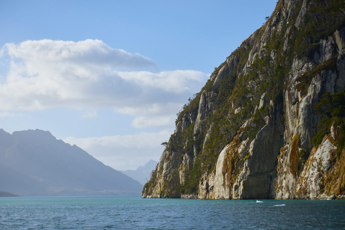 Cape Froward National Park Project - Fundación Rewilding Chile