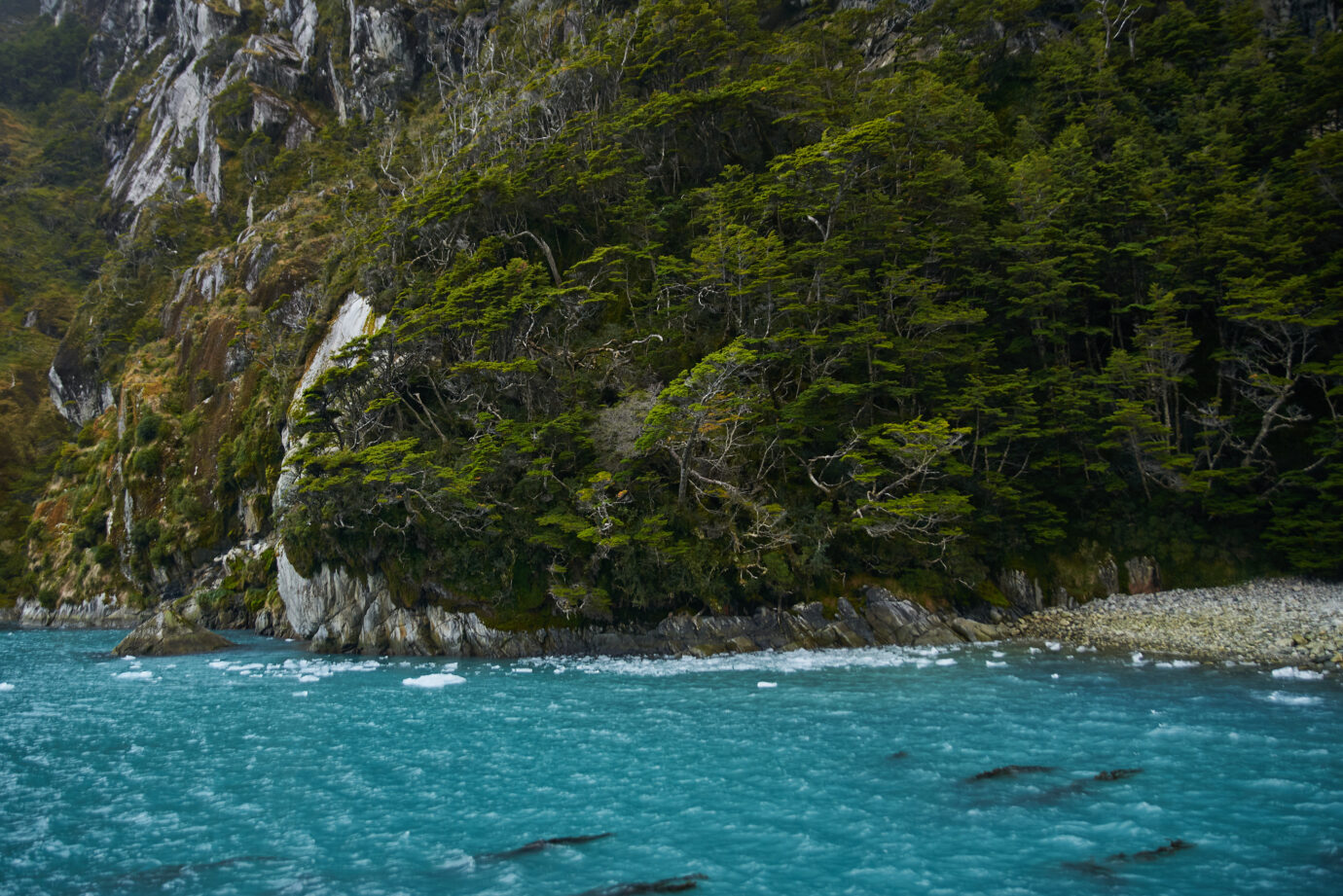 Cape Froward National Park Project - Fundación Rewilding Chile