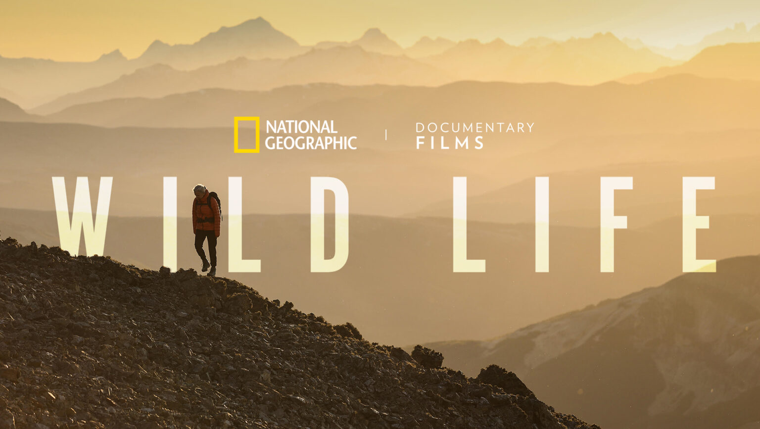 Wild Life - Fundación Rewilding Chile