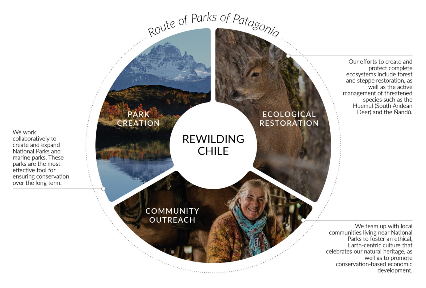 Our Work - Fundación Rewilding Chile