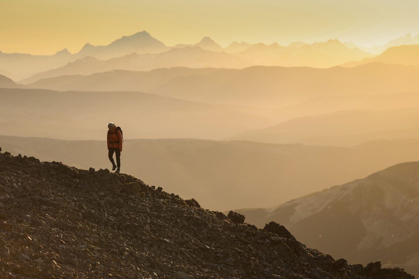 Wild Life - Fundación Rewilding Chile