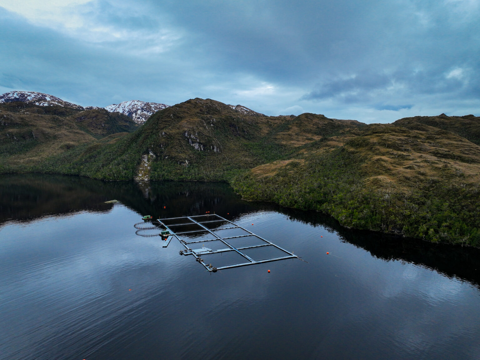 “Wild Life”: Película de National Geographic Documentary Films sobre ...