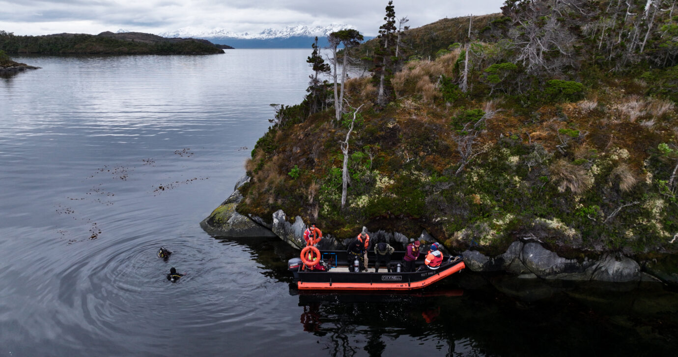 Beagle Channel: Exploring the end of the world - Fundación Rewilding Chile