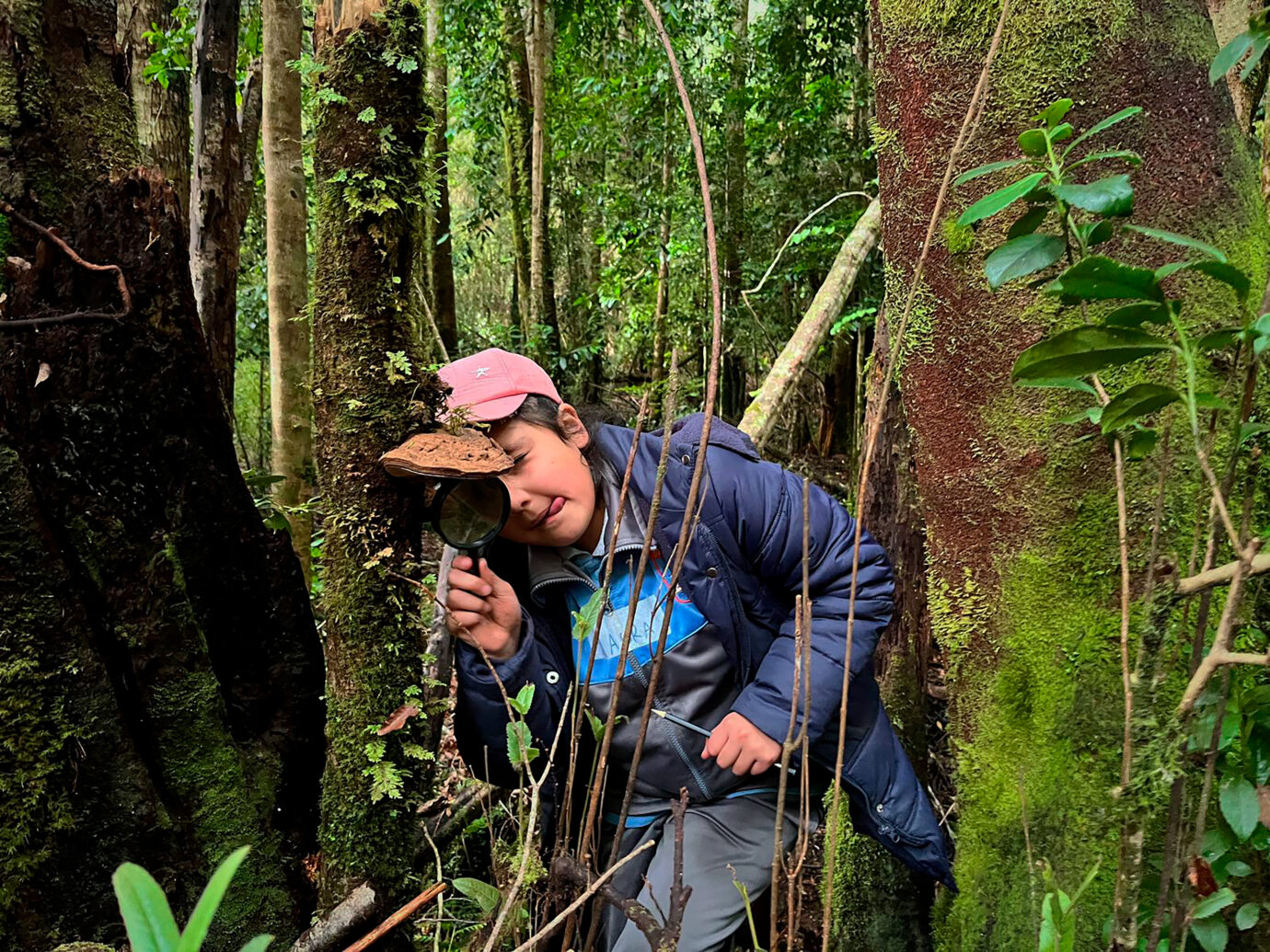 Escolares de la costa del seno de Reloncaví y del valle del río Chamiza, aprendieron sobre ...