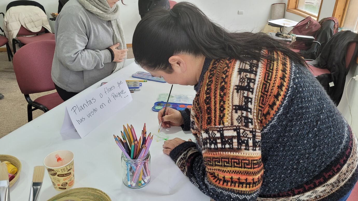 Creative Laboratories in Patagonia National Park: contributing to the ...