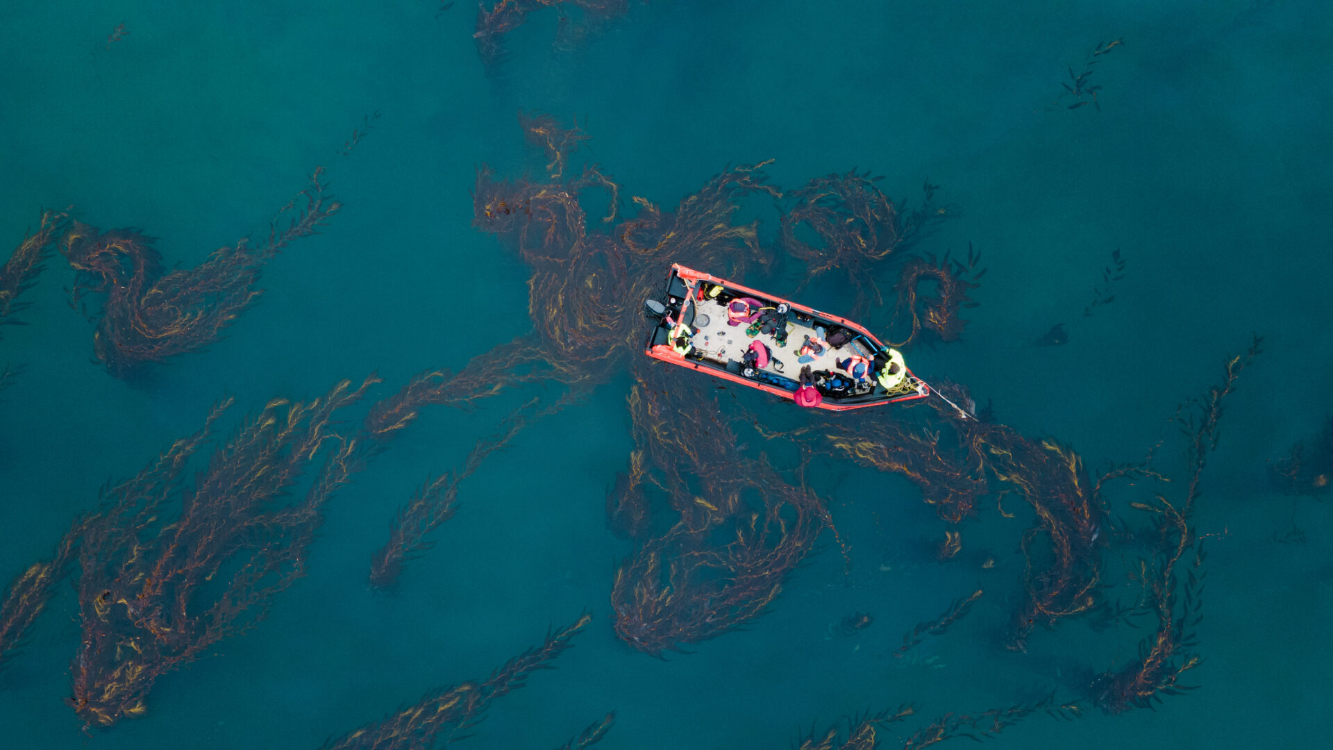 Dive into the coasts, fjords, channels and bays of the Patagonian Sea ...