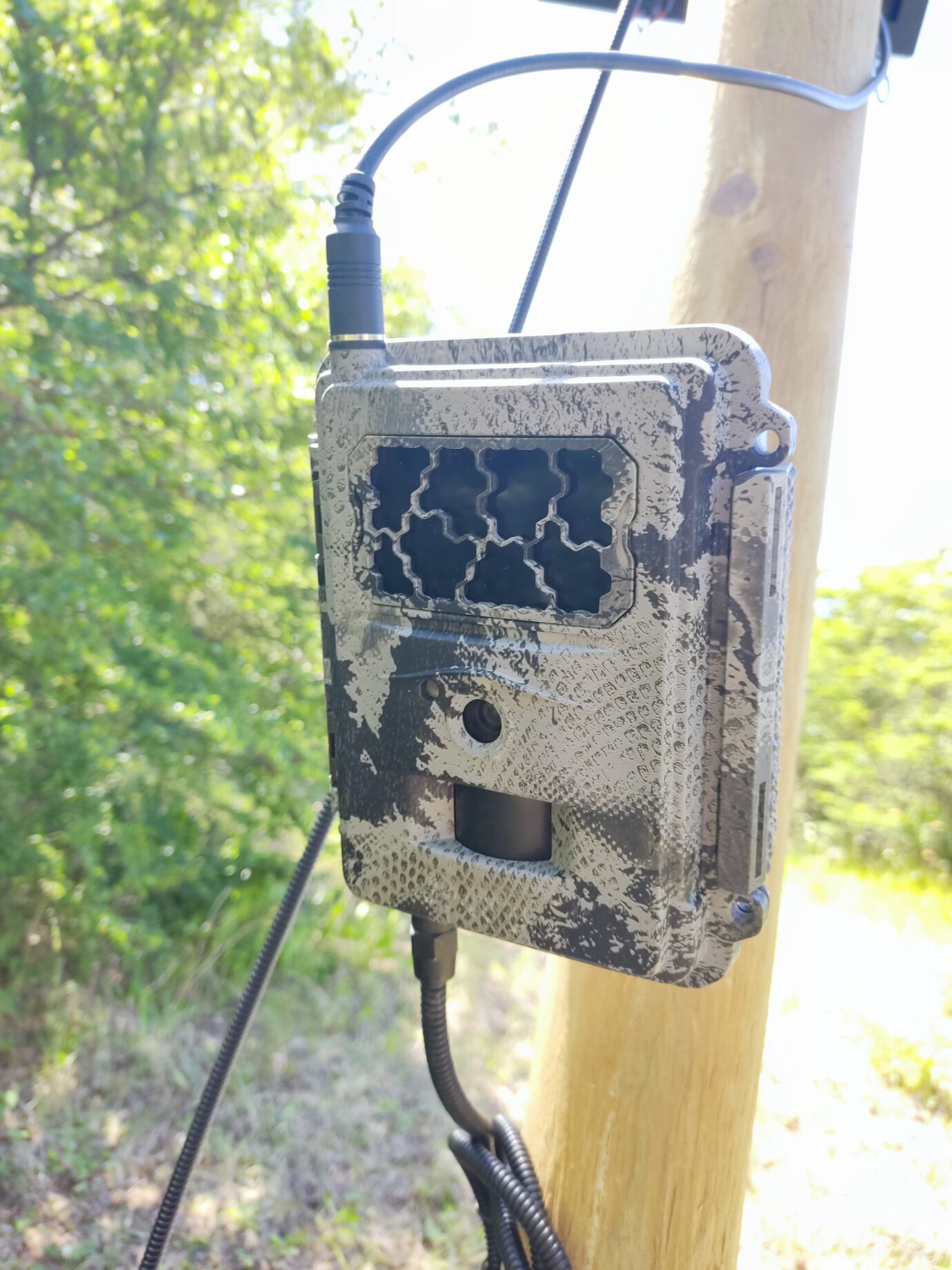 Cutting-edge technology in Patagonia National Park: Real-time ...