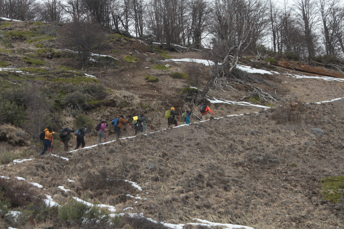 Amigos del Parque Nacional Cerro Castillo: Conociendo el hábitat del ...