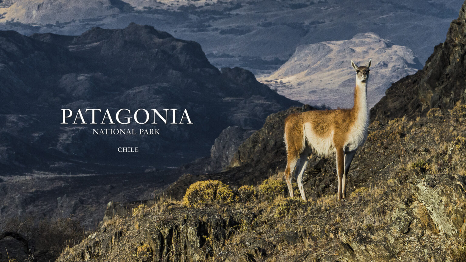 Dive into the coasts, fjords, channels and bays of the Patagonian Sea ...