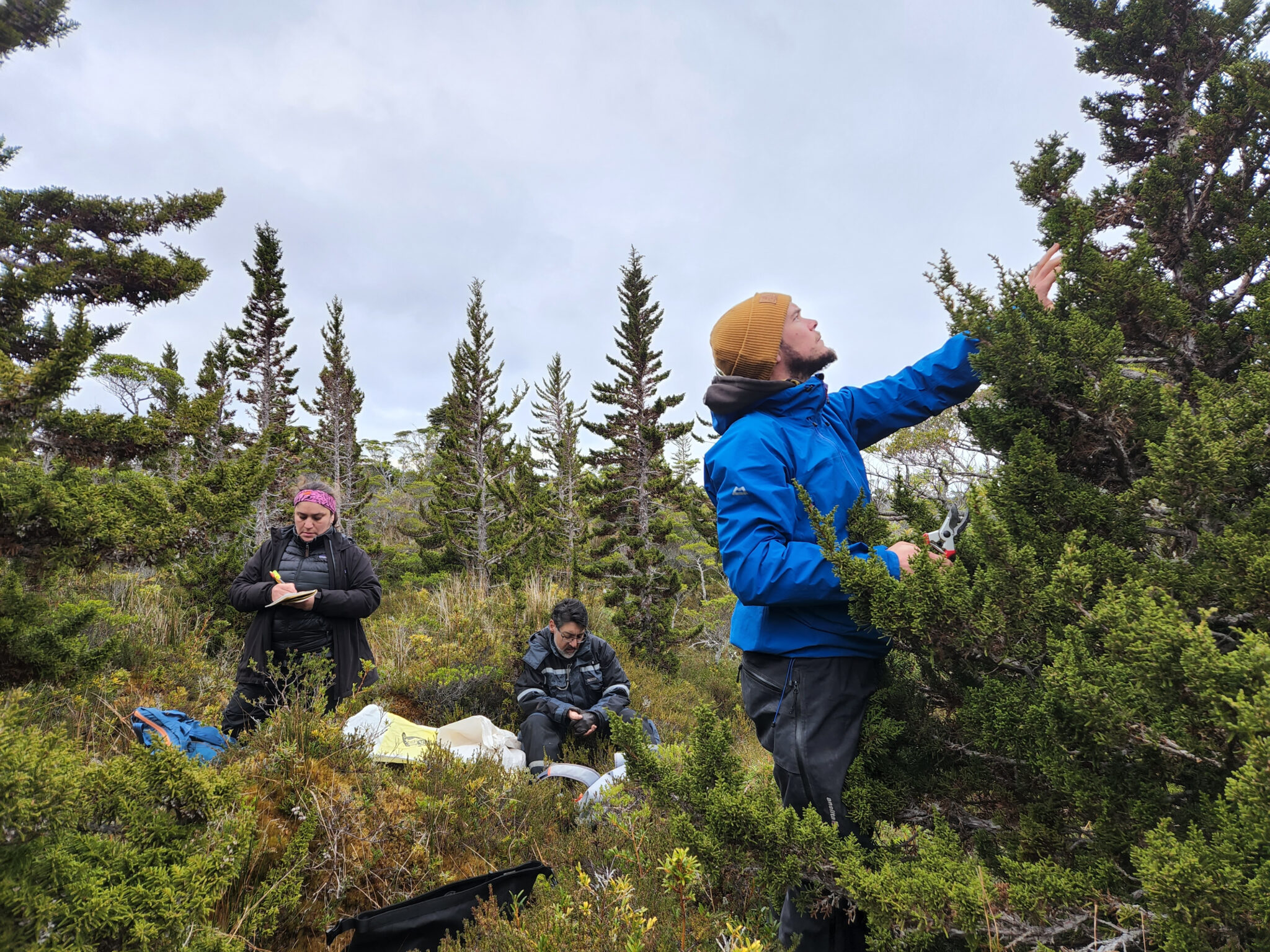 Proyecto Parque Nacional en Cabo Froward - Fundación Rewilding Chile