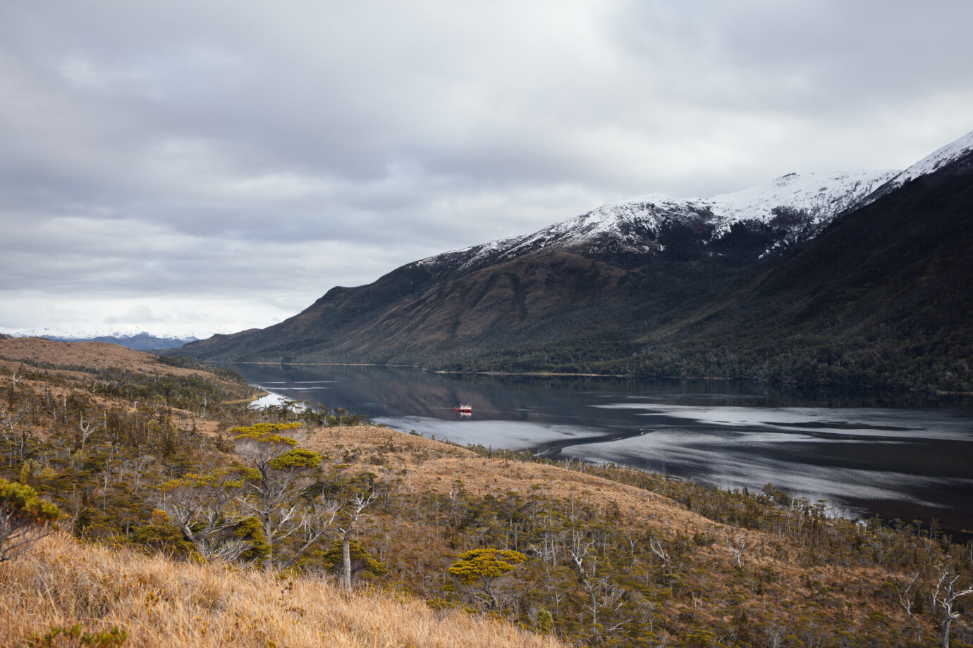 Rewilding Chile dona nueva propiedad para la creación del Parque ...