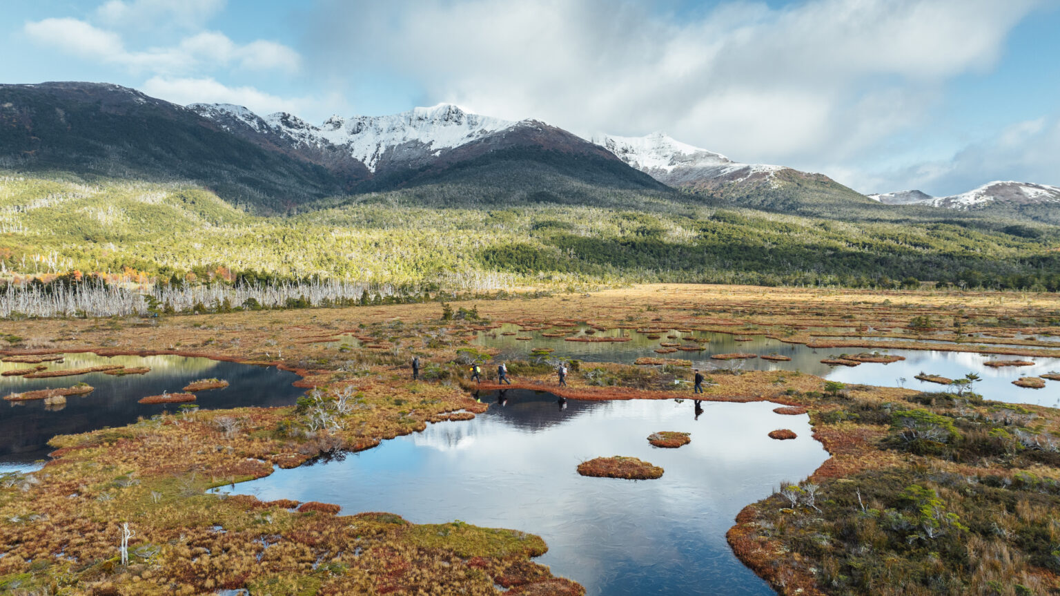 Rewilding Chile donates new property for the creation of Cabo Froward ...