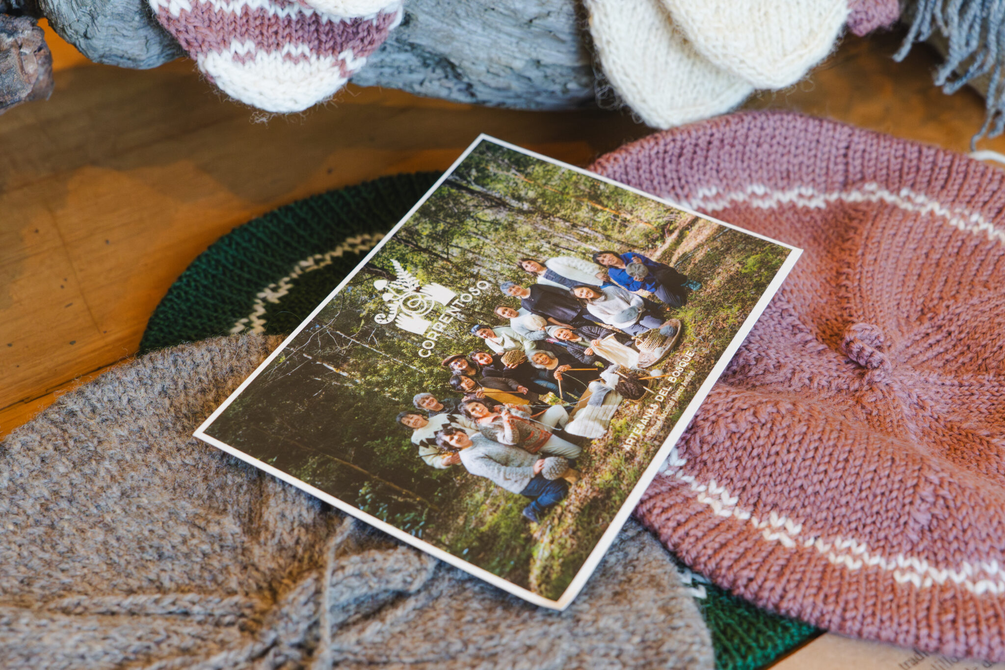 Launch of a textile collection inspired by the biodiversity of Alerce ...